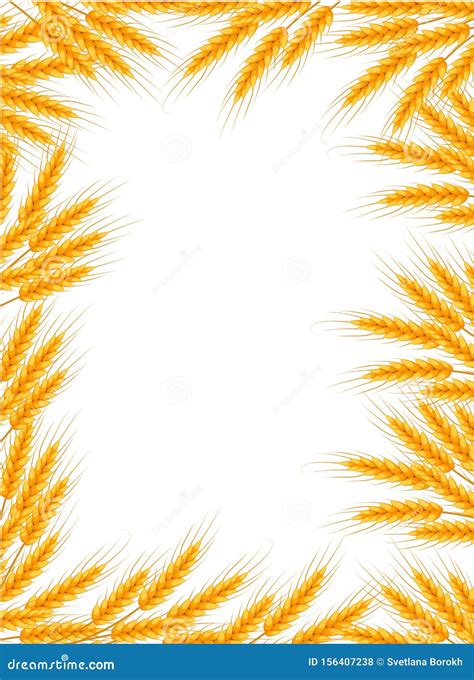 Wheat Frame Spikelets Blank Template For Your Design Stock Vector