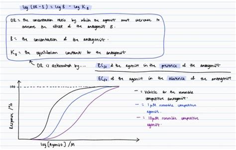 Two State Model Full And Partial Agonists And Antagonists And Inverse Antagonists Flashcards