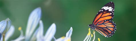 Planning An Sap S 4hana System Conversion