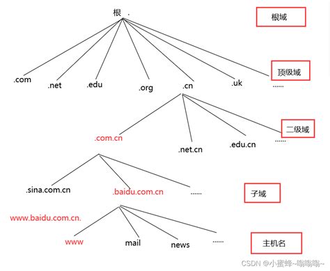 linux的dns域名解析服务 linux内dns解析的服务是什么 csdn博客