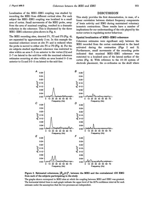 Synchronization Between Motor Cortex And Spinal Motoneuronal Pool