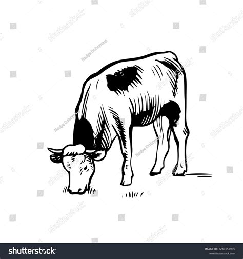 Cow Eating Grass Hand Drawn Line Stock Vector Royalty Free 2240152935