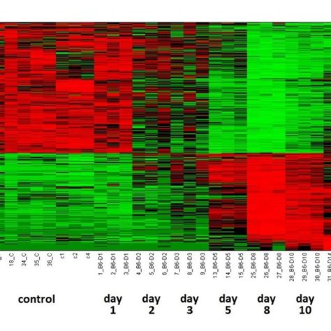 Hierarchical Clustering And Heat Map Of Genes Which Were Found To Be