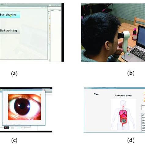 The Graphical User Interface Gui Demonstration Of The Health