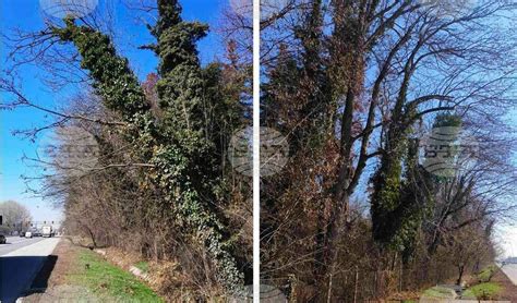 Средните минимално необходими годишни разходи за парк „Врана“ са приблизително 500 000 лв