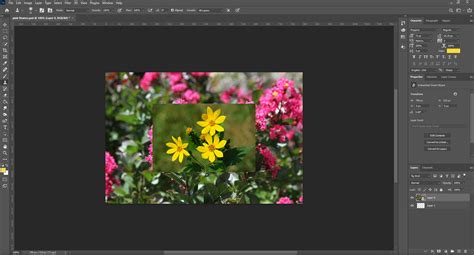 How To Paste In Photoshop Without Creating A New Layer Graphics Mob