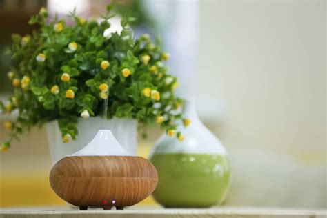 The Science Behind Scents How Do Diffusers Work House Junkie