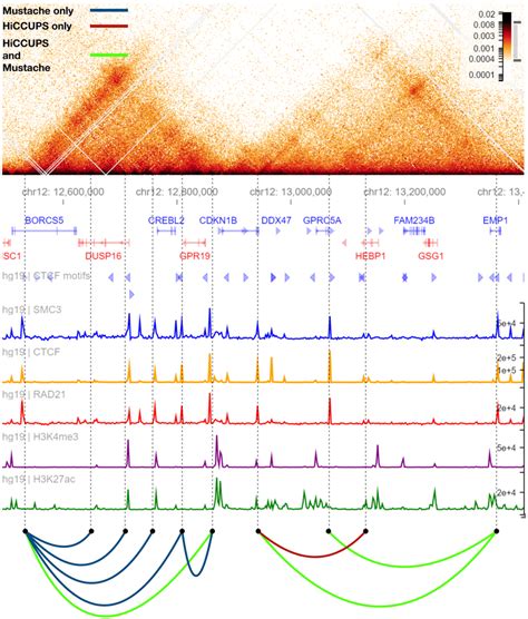 A Comparison Between Mustache And Hiccups Reported Loop Calls In A