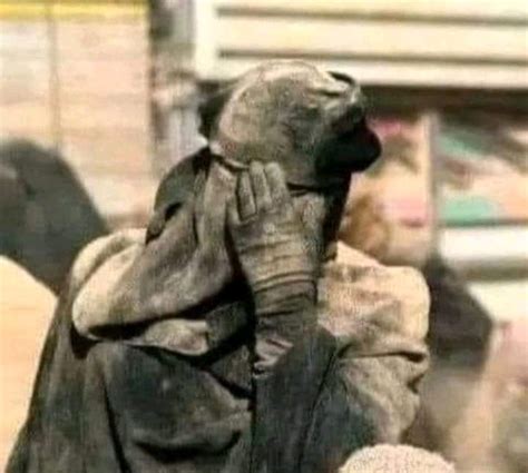 Mohamed Zidan 🇵🇸 Posted On Linkedin