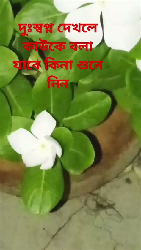 দুঃস্বপ্ন দেখলে কাউকে বলা যাবে কিনা শুনে নিন হুজুরের কন্ঠে Islamic