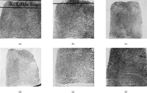 Figure 1 From Fingerprint Classification Based On Depth Neural Network