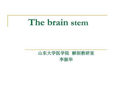 PPT The Brain Stem PowerPoint Presentation Free Download ID 877844