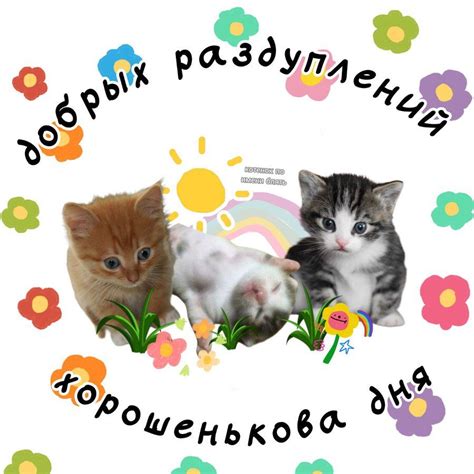 Пин от пользователя In A Minormood на доске Шуточная Кошачьи цитаты Веселые мемы Забавные