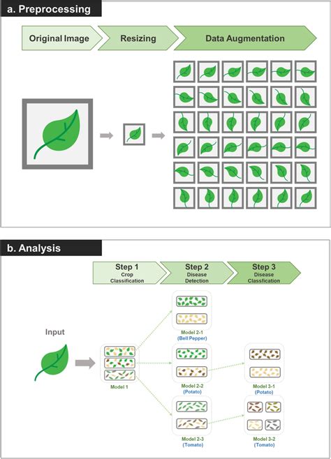 Workflow Of The Disease Detection Model A Phenotypic Data Download Scientific Diagram