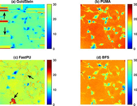figure 1 from breadth first search based phase unwrapping algorithm for quantitative phase