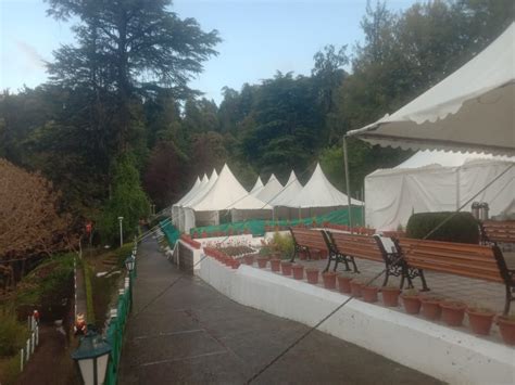 Pagoda Setup Innovative Group