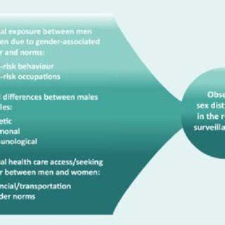 Factors To Consider When Interpreting The Observed Sex Distributions In Download Scientific
