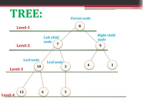 Heapify Algorithm Ppt