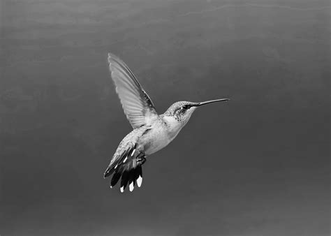 Bigboobsintinybikini Photos Download The Best Free Bigboobsin