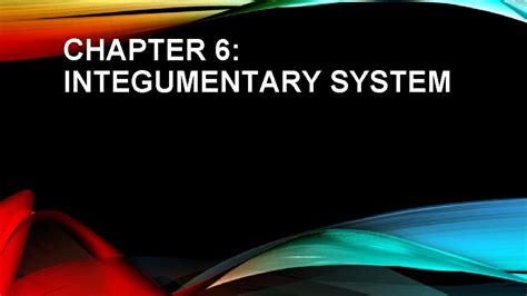 CHAPTER 6 INTEGUMENTARY SYSTEM I INTRODUCTION A INTRODUCTION