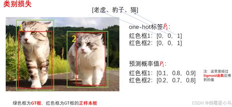 【yolov8】损失函数 yolov8损失函数 csdn博客