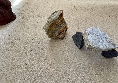 Deaths Shadow Aware Of Mortality I Plan For Useful… By Dr John