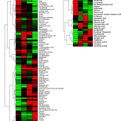 Pca Score Plots Of The Metabolites In Flag Leaf Of Wheat From Four