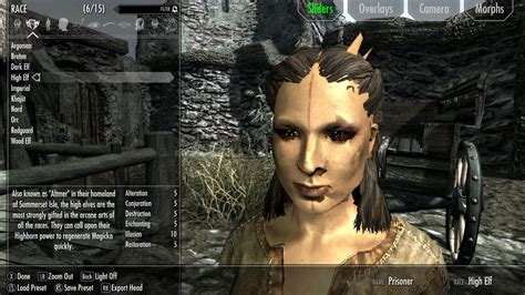 CITRUS Heads High Poly Heads Page Downloads Skyrim Non Adult Mods LoversLab