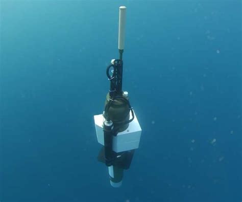 Deep Sea Robots Are Scoping Out The Origins Of Algae Blooms Finds Oxygen Levels Decreased Ten
