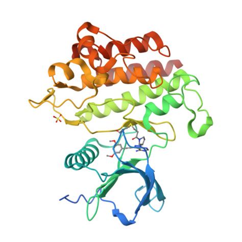 Rcsb Pdb 8w38 Tas 120 Covalent Structure With Fgfr2 Molecular Brake