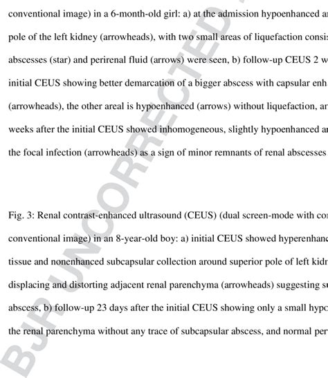 Renal Contrast Enhanced Ultrasound Ceus Dual Screen Mode With Download Scientific Diagram