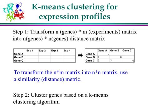 Ppt Clustering Analysis Of Microarray Gene Expression Data Powerpoint