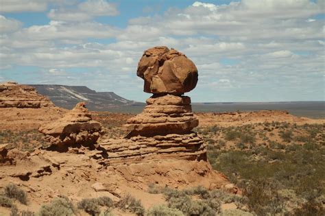 Cómo Era Jakapil El Nuevo Dinosaurio Acorazado Descubierto En La Patagonia Infobae