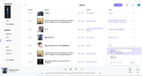 System Output Has No Audio Support Roon Labs Community