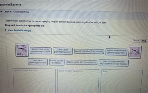 Solved Can You Distinguish Among The Three Processes Of