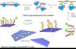 Chip Sequencing In Mumbai ID 8687037762