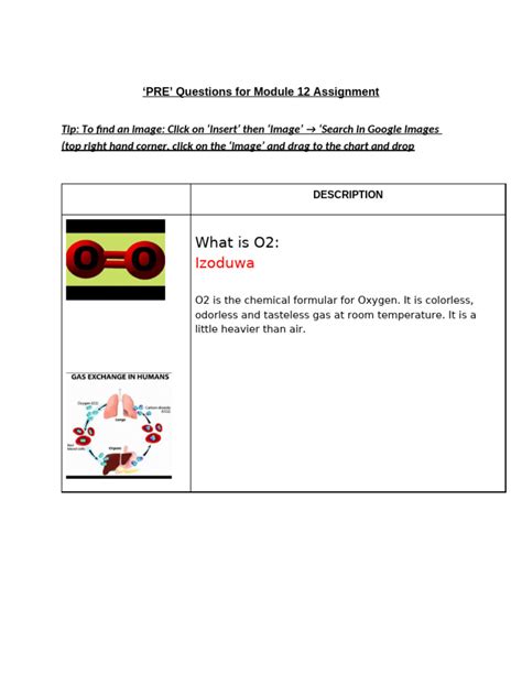 Pre Assignment Module 12 Health Conditions Pdf Oxygen Breathing