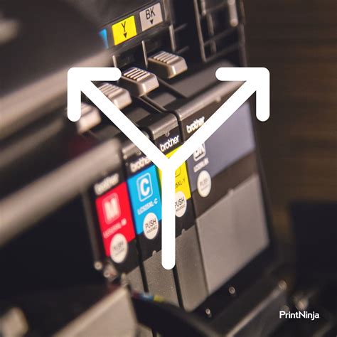 Offset Vs Digital Printing Which One Is Right For You PrintNinja