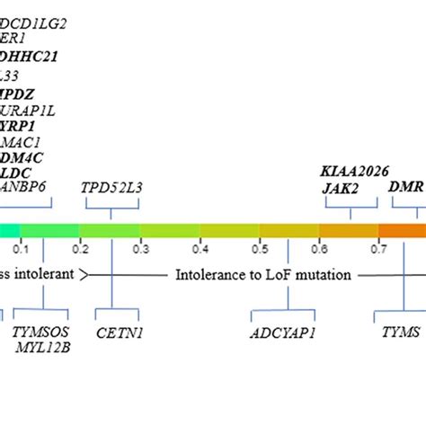 Phenogram For Brain Mri Findings Hypoplasia Of Corpus Callosum Download Scientific Diagram