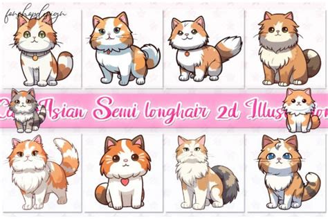 Cat Asian Semi Longhair 2d Illustration Graphic By Fonshopdesign