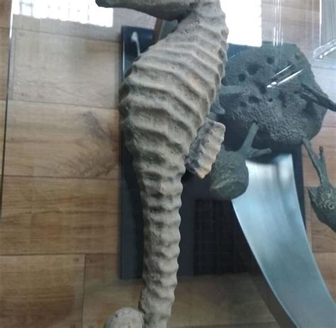 Styro Models For Sharjah Aquarium Queen Colors Advertising