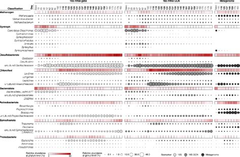 Bubble Plot Indicates The Relative Abundances Of Major Populations In Download Scientific