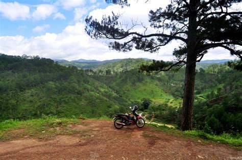 무료 이미지 나무 황야 꼬리 차량 흙 산등성이 산악 자전거 무임 승차 2048x1360 33190 무료 이미지 Pxhere