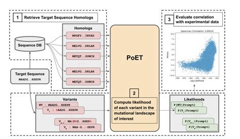 Protein Sequencing