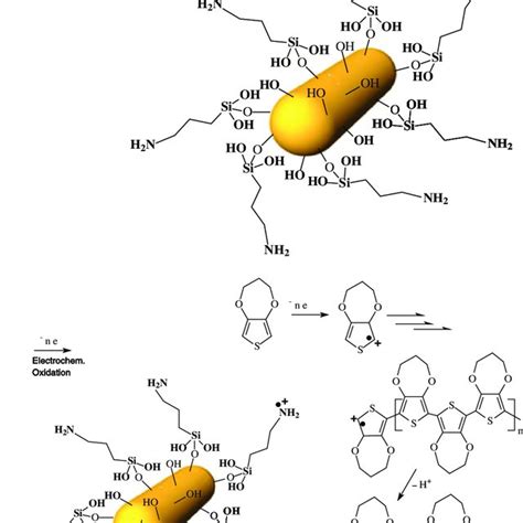 Schematic Illustration Of The Tio 2 Nanorod Surface Modification And Schematic Illustration Of The Tio 2 Nanorod Surface Modification And