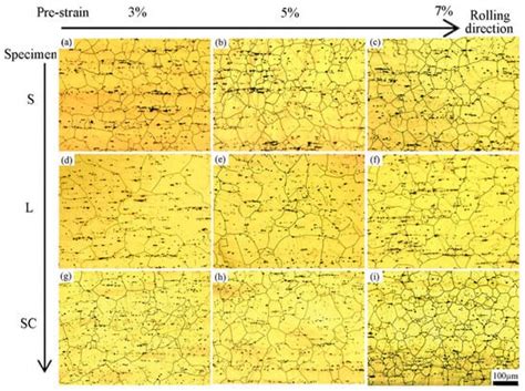 Effects Of The Primary Carbide Distribution On The Evolution Of The Grain Boundary Character