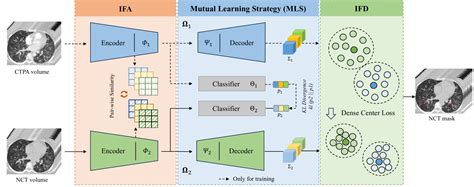 Cross Phase Mutual Learning Framework For Pulmonary Embolism Identification On Non Contrast Ct
