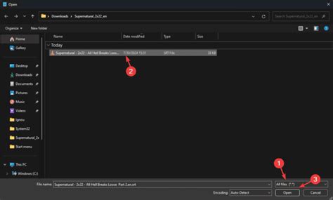 What Is An Srt File And How To Open It On Windows
