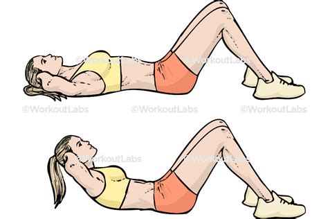 Crunches Workoutlabs Exercise Guide