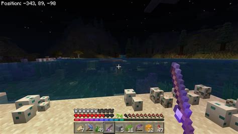 This Was My Turtle Hatching Experience Just Wanted To Share The